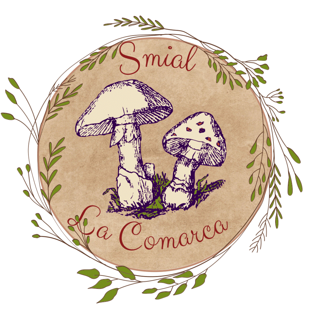 Nuevo Smial de la Sociedad Tolkien Española; La Comarca - Sociedad ...